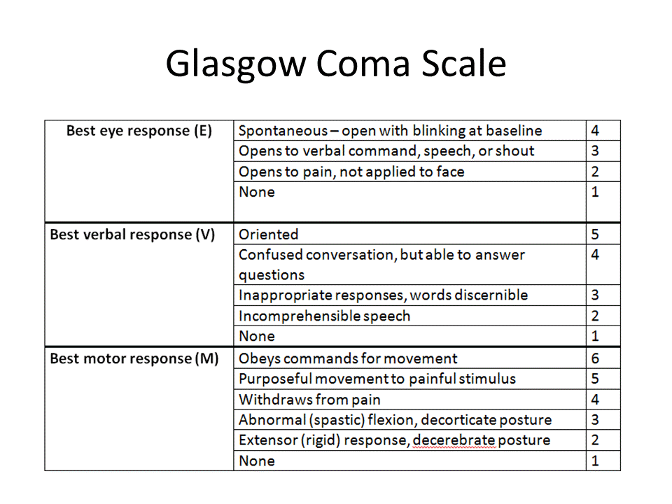glasgow coma scale examples The glasgow coma scale glasgow coma scale examples The glasgow coma scale